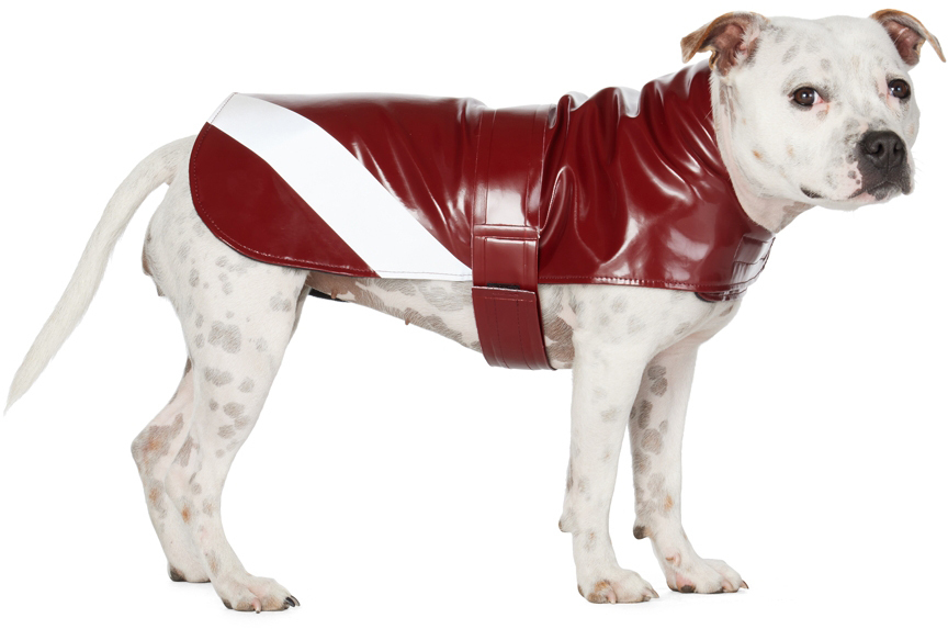 Stutterheim SSENSE Exclusive Red Dog Raincoat Stutterheim
