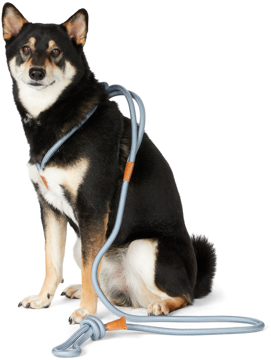 Boo Oh Blue Large Ray Harness Boo Oh