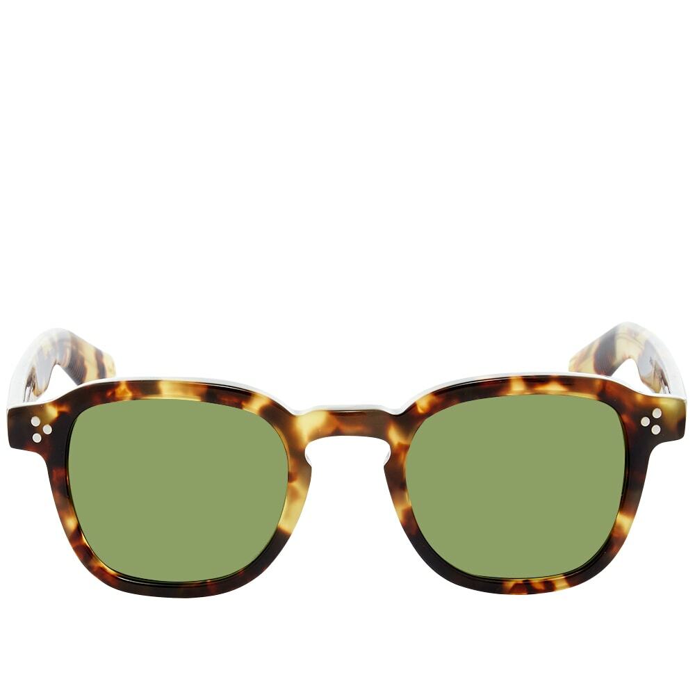 Moscot Momza Sunglasses in Green/Tortoise Moscot