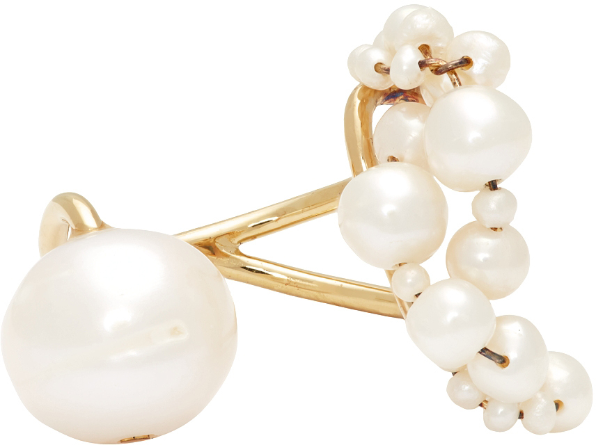 Completedworks Gold Speaking To The Penguins Ring Completedworks