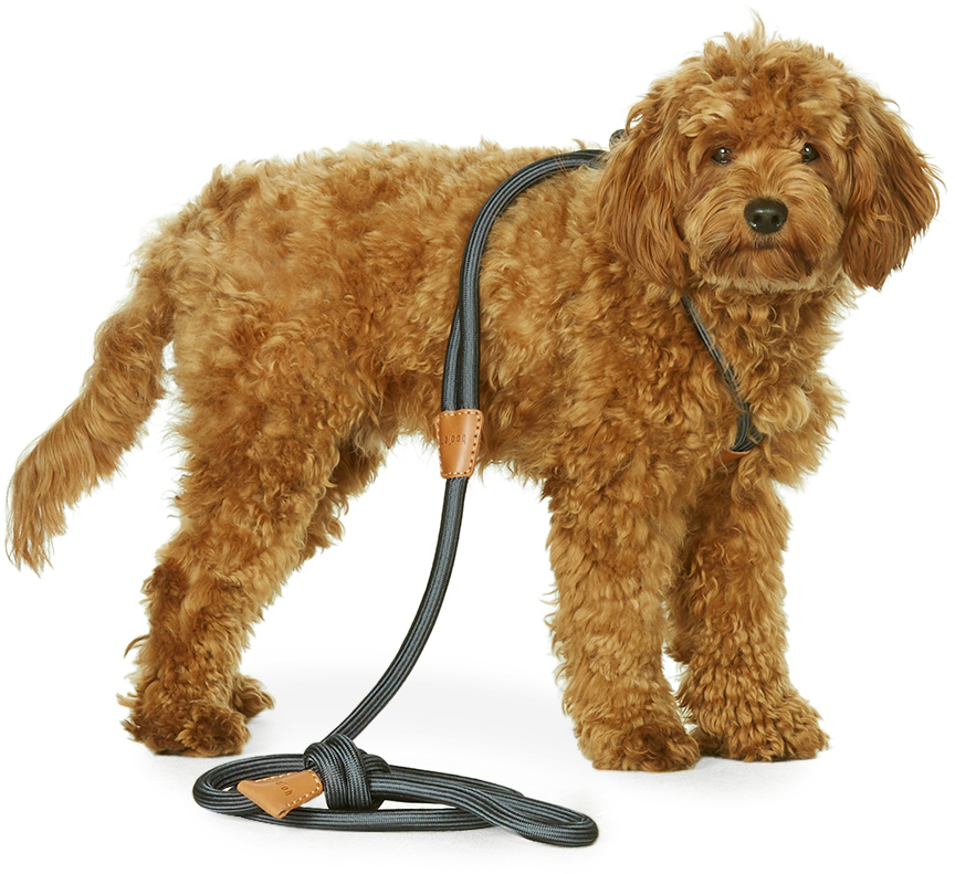 Boo Oh Grey Medium Ray Harness Boo Oh