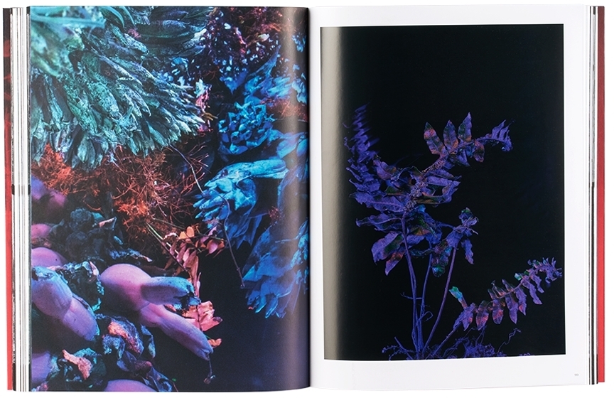 Loose Joints Broken Spectre