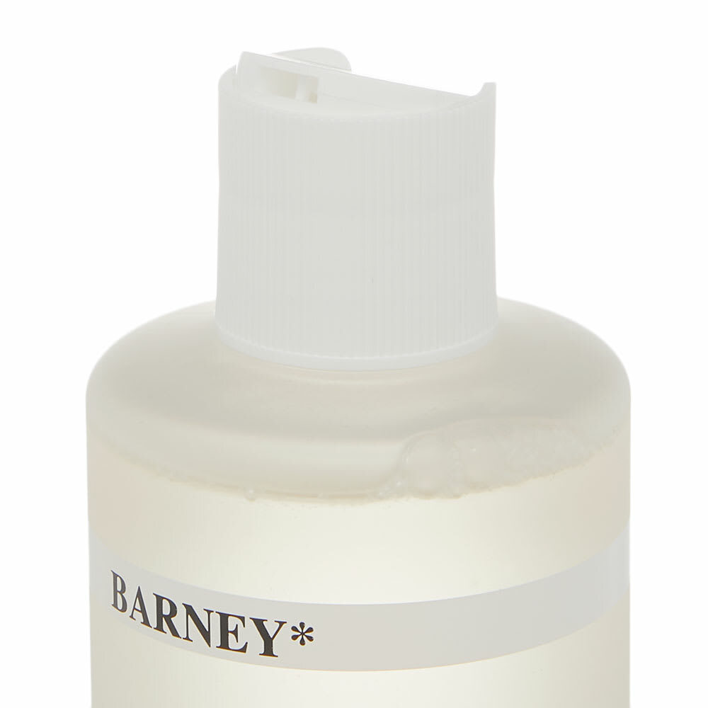 retaW Fragrance Body Shampoo in Barney* retaW